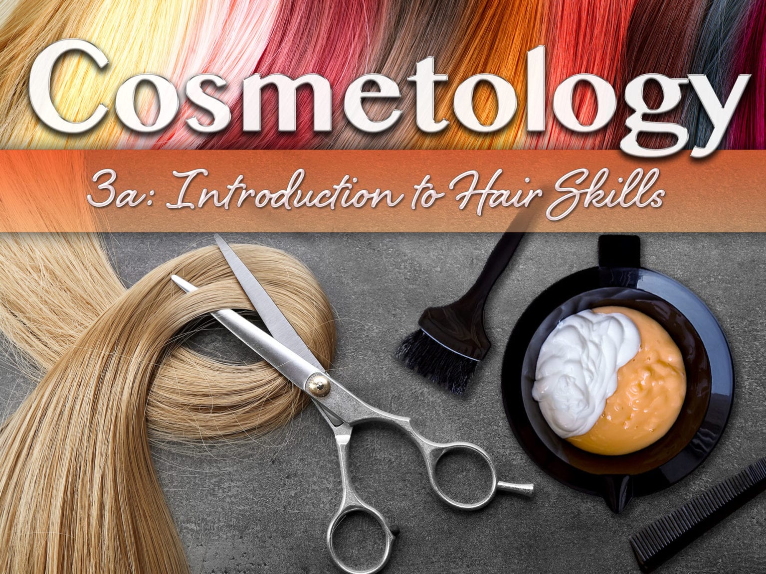 Cosmetology 3a: Introduction to Hair Skills - eDynamic Learning