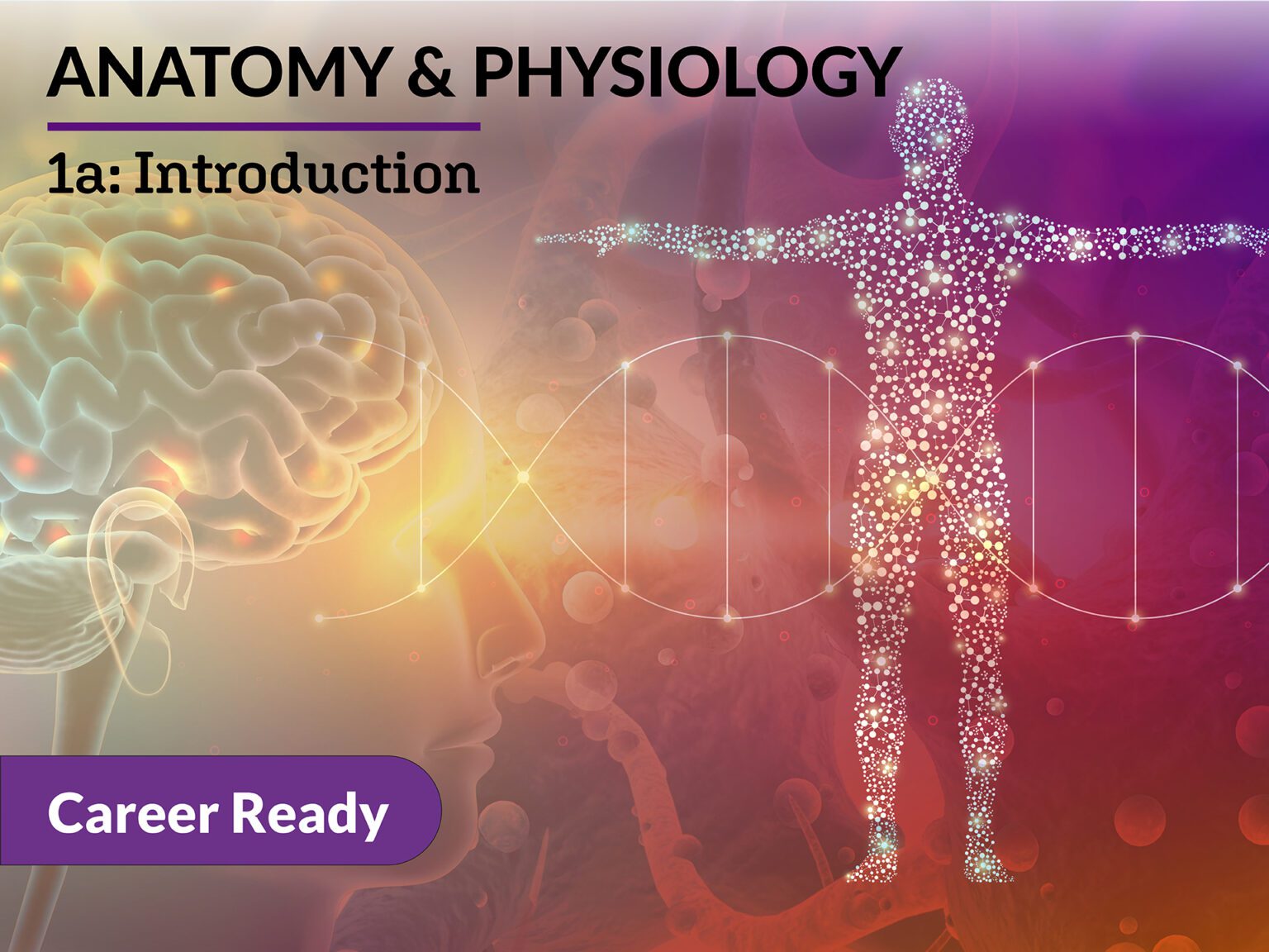 Anatomy and Physiology 1a: Introduction - eDynamic Learning