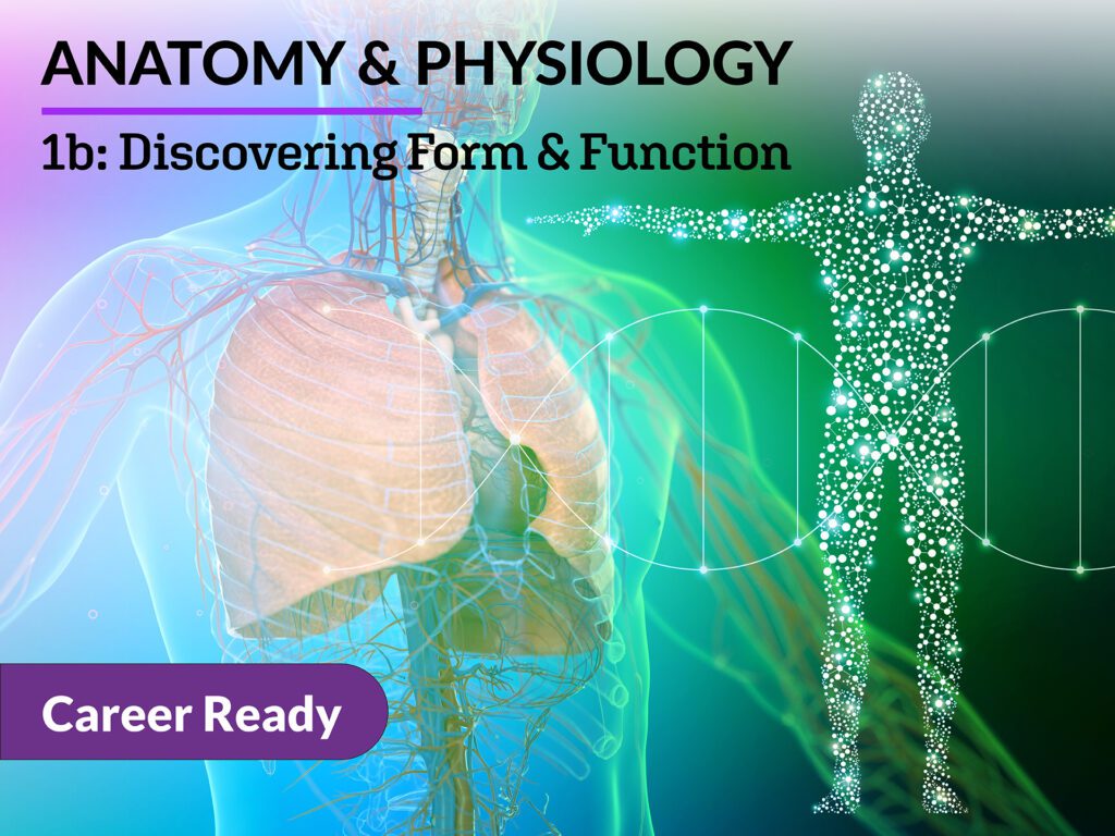Anatomy and Physiology 1b: Discovering Form and Function - eDynamic ...