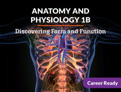 Anatomy and Physiology 1a: Introduction - eDynamic Learning