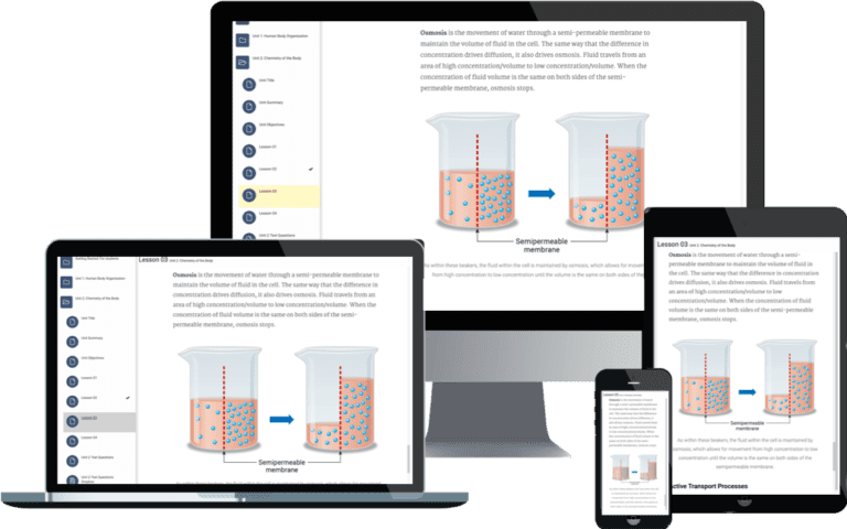 Instructional Framework Edynamic Learning
