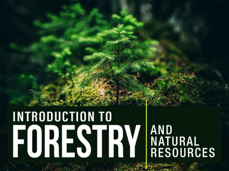 STEM Resources - eDynamic Learning