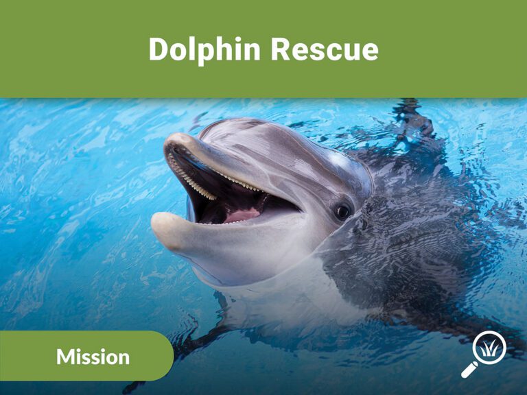 Mission: Dolphin Rescue - eDynamic Learning